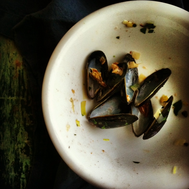 mussel shells | Catrine Kelty Food Stylist